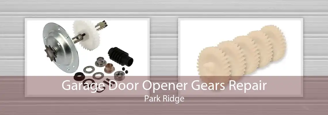 Garage Door Opener Gears Repair Park Ridge | Garage Door Opener Gear Fix